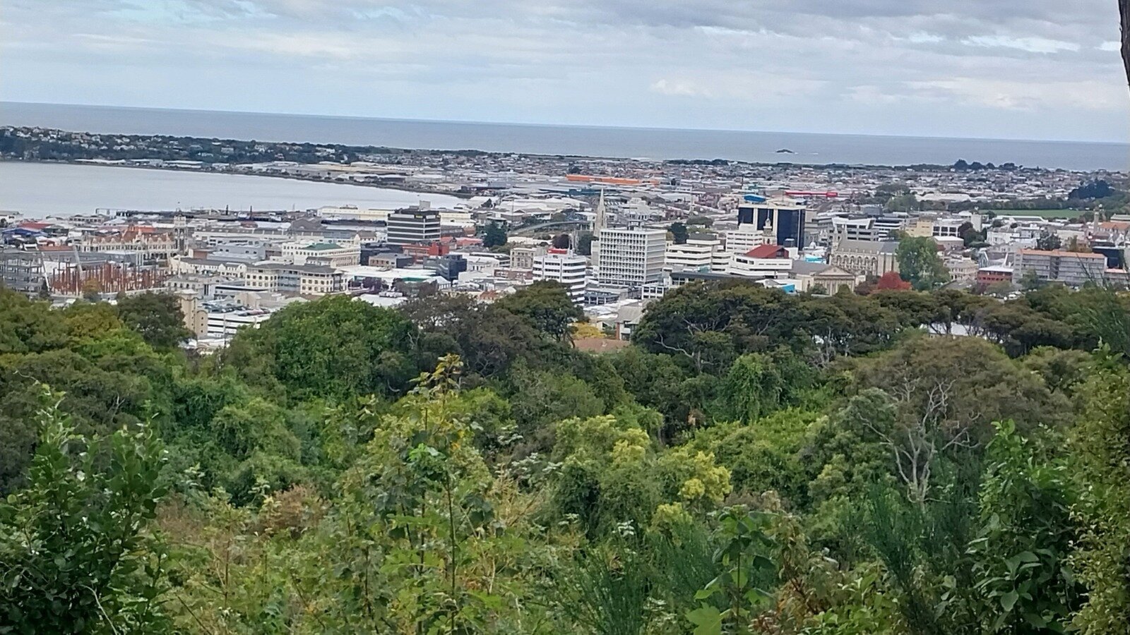 Petition · STOP DCC & ORC RATE RISES - New Zealand · Change.org