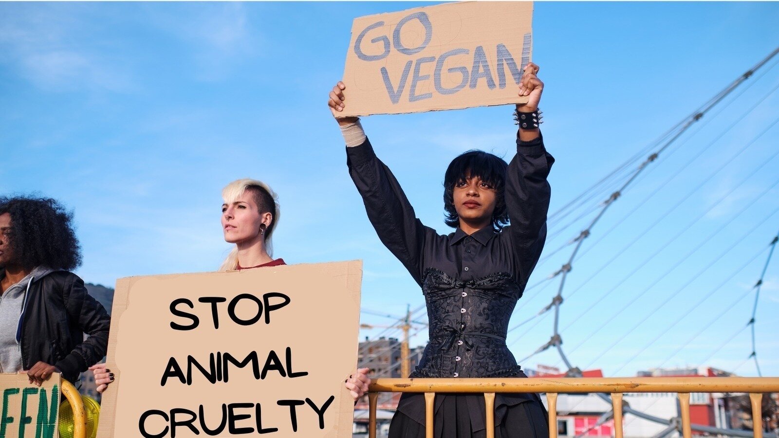 Petition · Stop Criminalizing Compassion: Repeal the Animal Enterprise ...