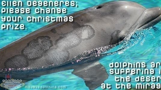 Petition · Change MGM Mirage Prize-Mirage has virus infected dolphins ...