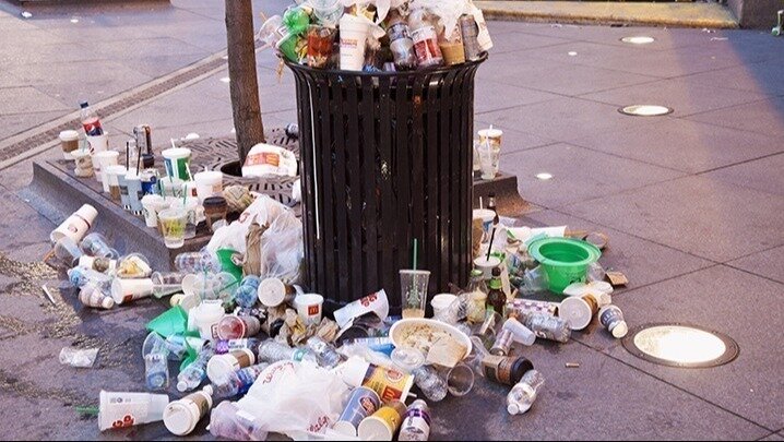 Petition · Clean Up Our Community: A Call for Better Waste Management ...