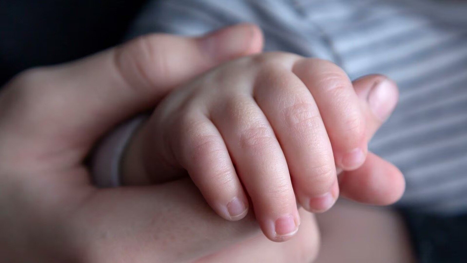 Petition · South Carolina: Families need real paid leave—make it ...