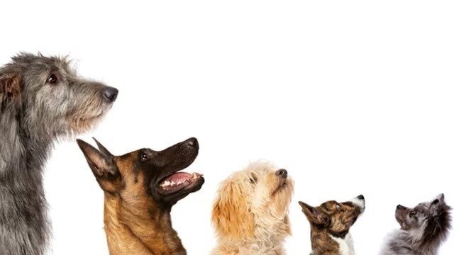 Petition update · A Long Overdue Update.... · Change.org · Change.org