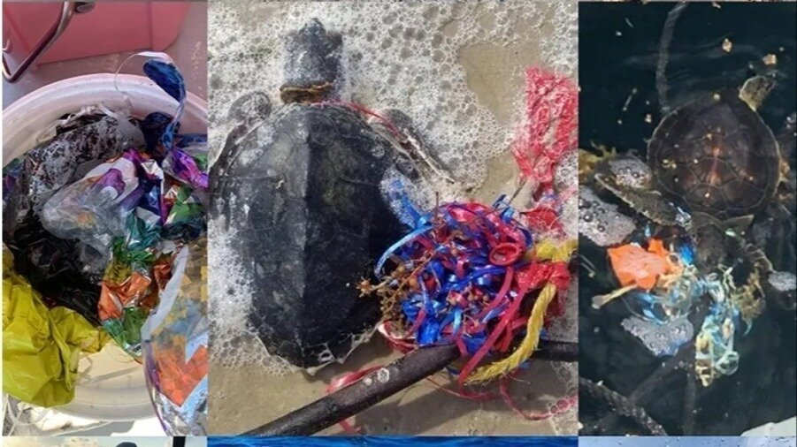 Petition · Prohibit the Release of Balloons into the Environment ...