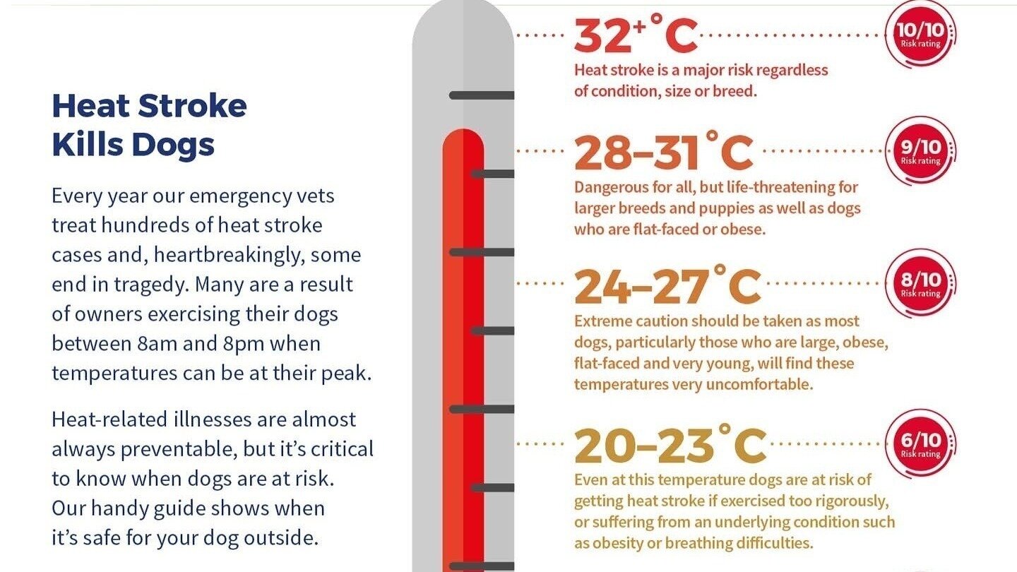 Petition · Fine people walking dogs in extreme heat - United Kingdom ...
