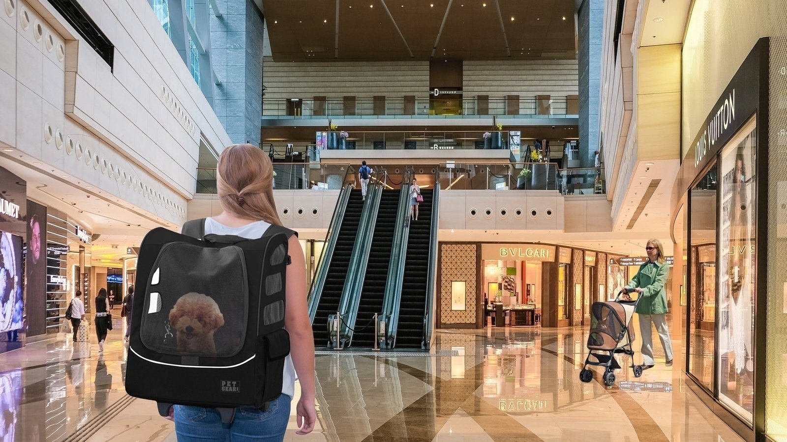 Petition · Pets inside carriers should be allowed inside retail stores ...