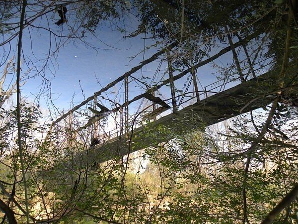 Petition · Save The Ghost Bridge - United States · Change.org