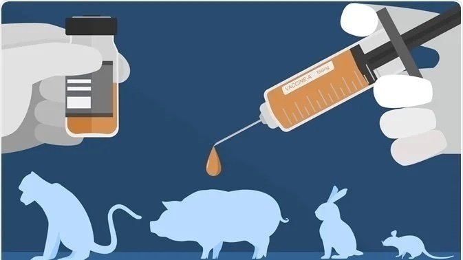 Petition · Let's put a stop towards animal testing - India · Change.org