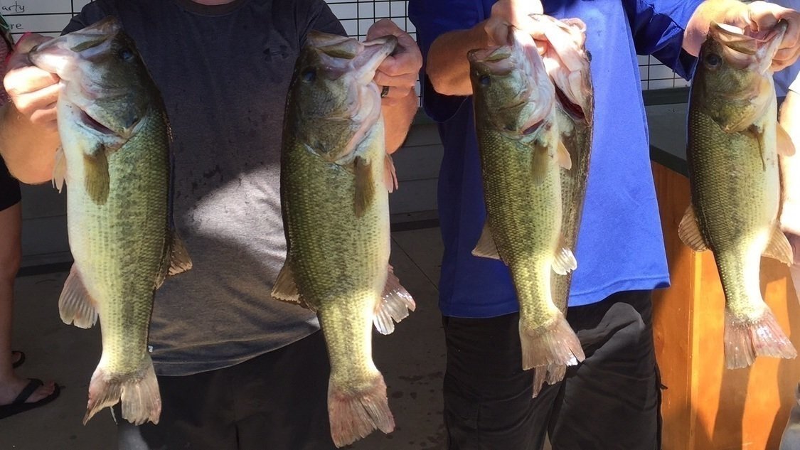Petition · Funds and Concentration on Bass Fisheries in Arkansas ...