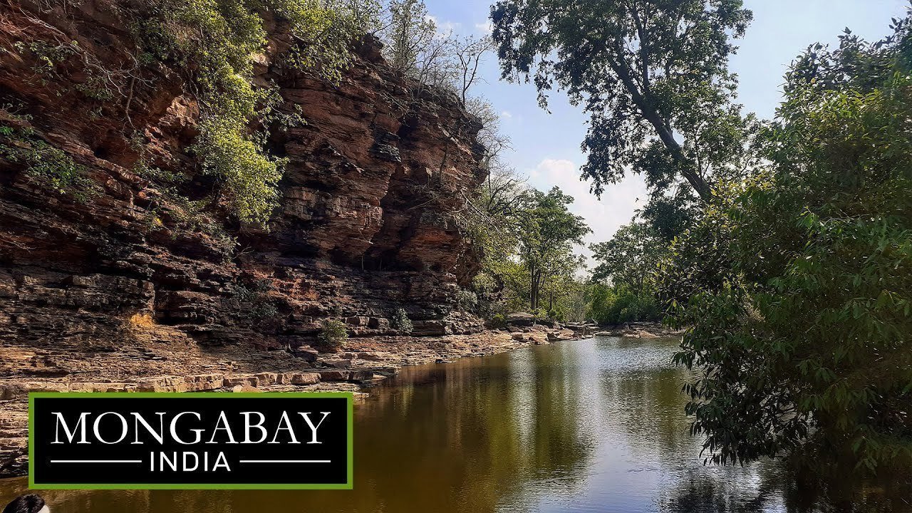Petition · Save Buxwaha Forests · Change.org