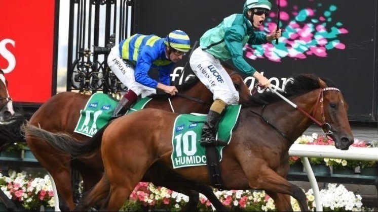 Petition · My aim is to have all animal sporting events shut down ...