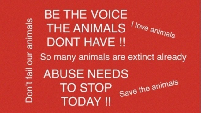 Petition · Animal Rights - United Kingdom · Change.org