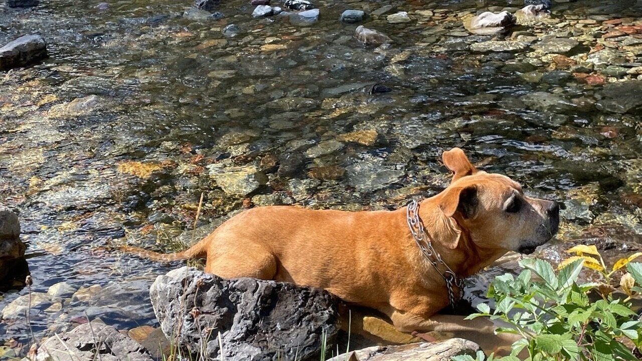 Petition · Protect Our Headwaters: Say No to the Proposed Coal Mining ...