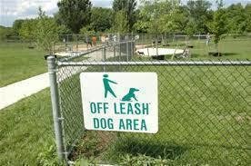 Petition · Off leash, enclosed dog park in Alex Marchetti Park · Change.org