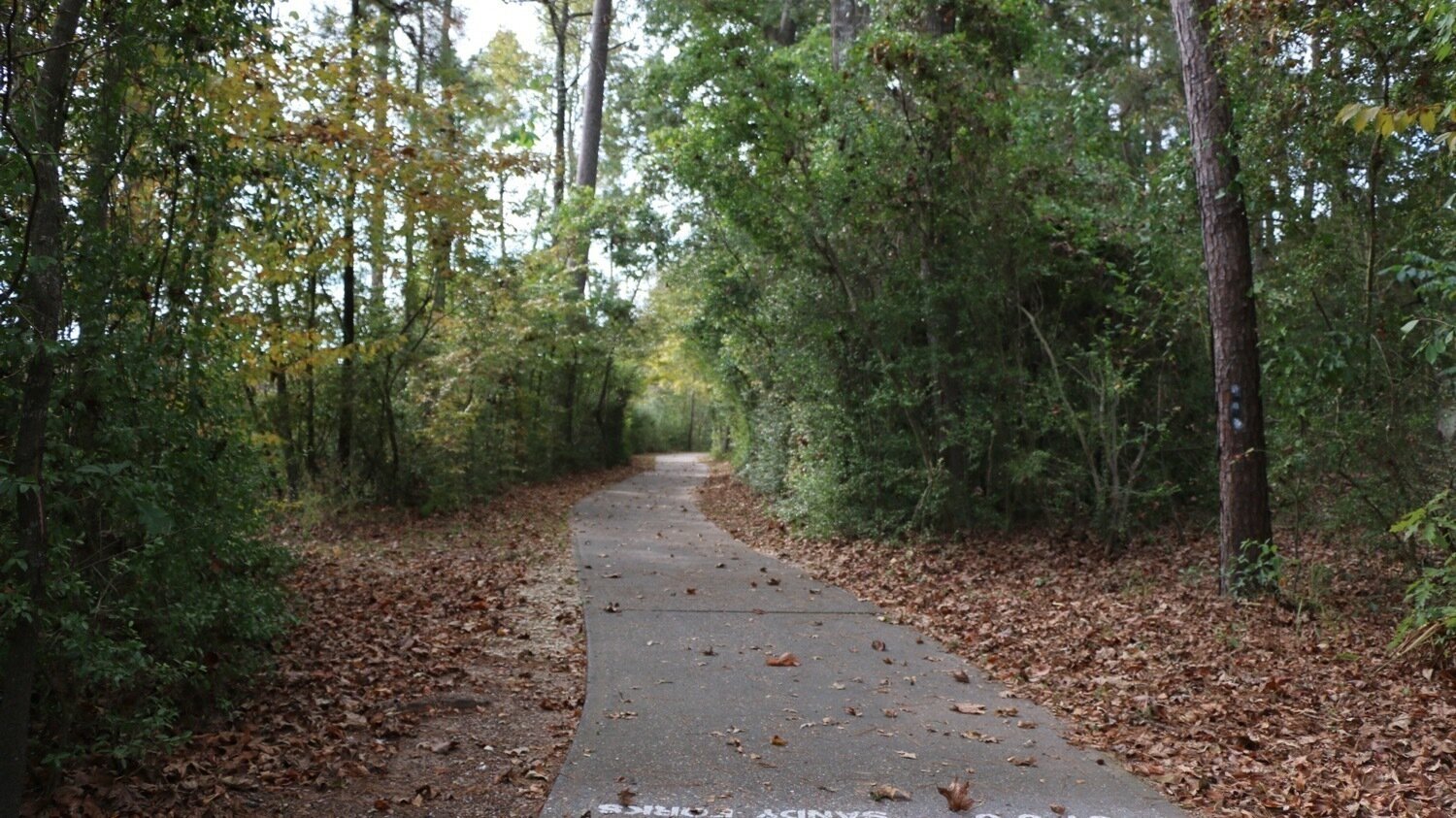 Petition · Install a Sidewalk on Mills Branch Road for Safer Access to ...