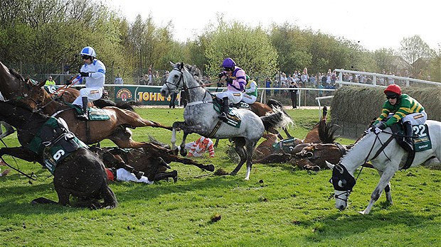 Petition · Ban the Grand National - United Kingdom · Change.org