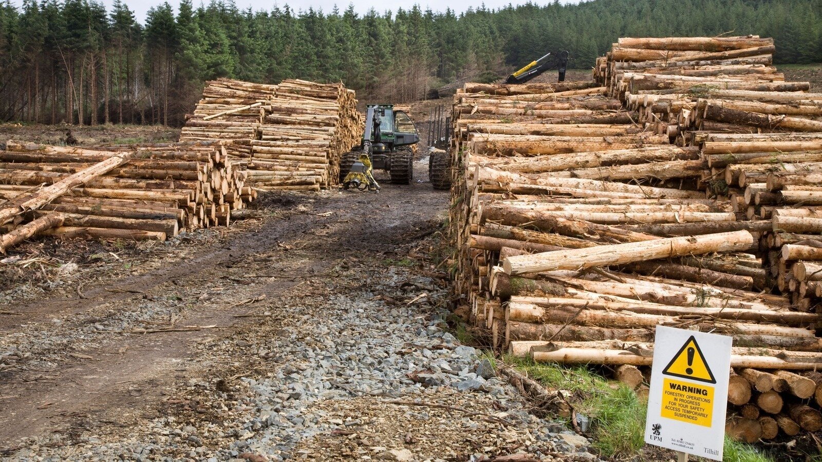 Petition · Require EIAs for All Commercial Forestry Projects Over 5 ...