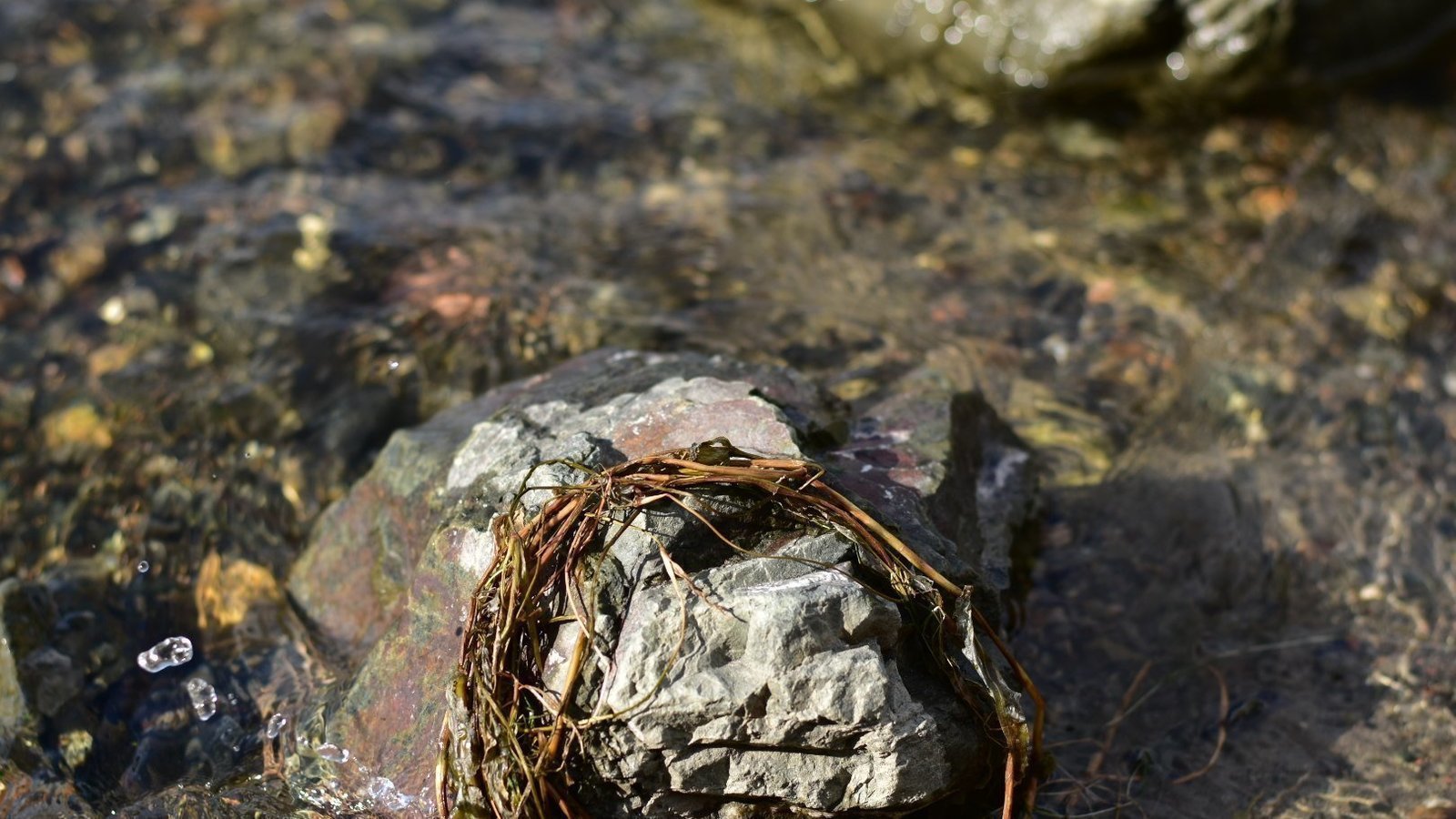 Petition · Help get clean water on First Nations Reserves - Canada ...