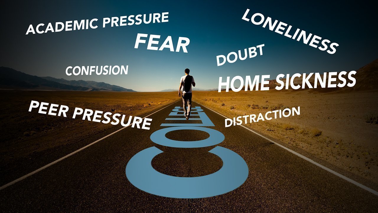 Petition · Create a better transition from high school to college ...