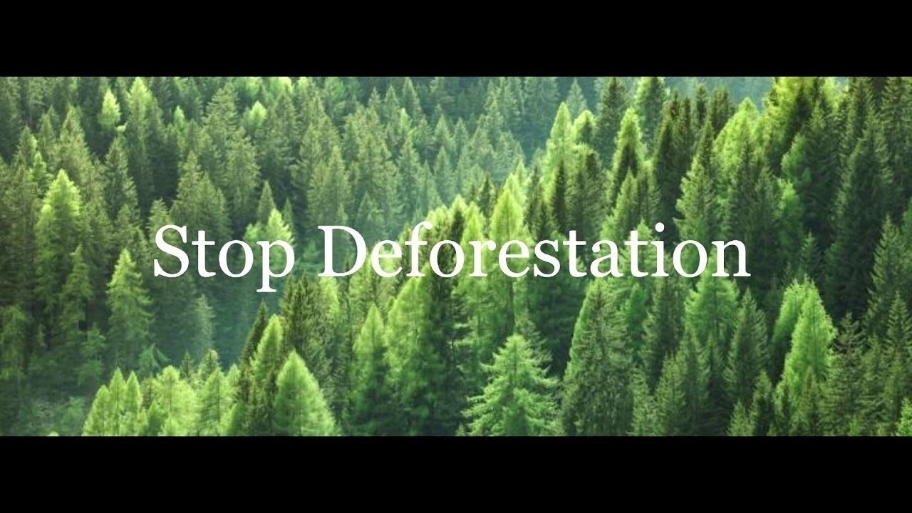 Petition · Stop Deforestation, Save our Forest and Save our Mother ...