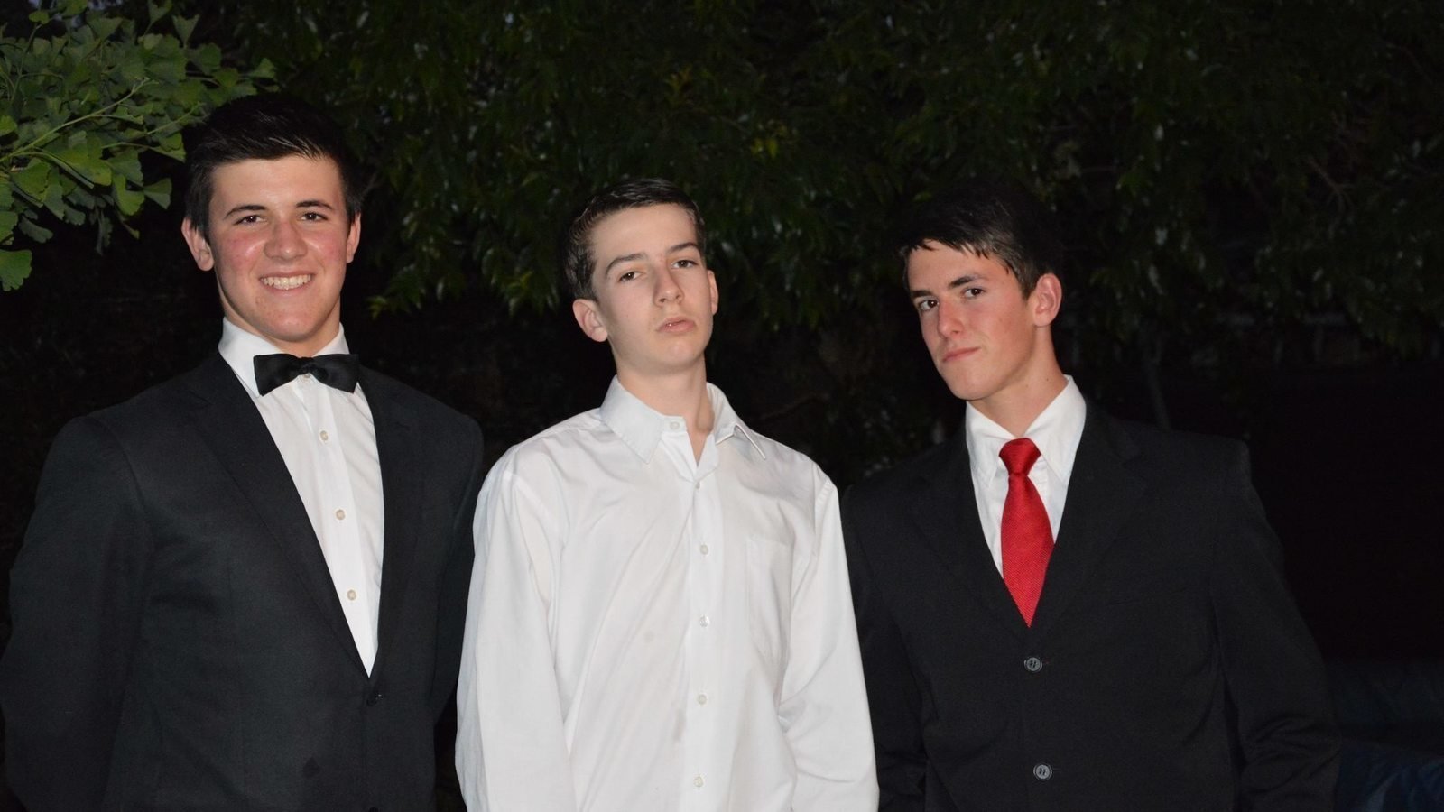 Petition · Stop Tom Piggot's False Misadventure from Passing ...