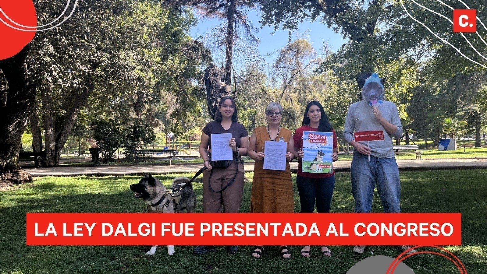 Petition update · ¡Ley Dalgi fue presentada al Congreso! · Change.org ...