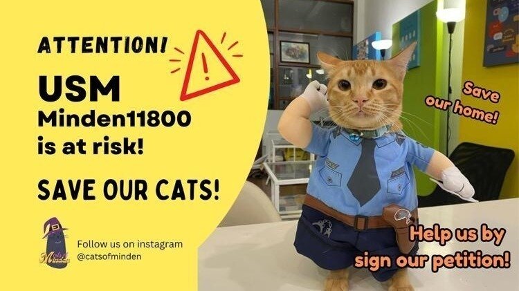 Petition · USM Minden11800 at Risk: Save Our Cats! - Malaysia · Change.org