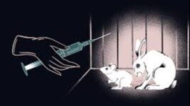 Petition · Ending Animal Testing - United States · Change.org