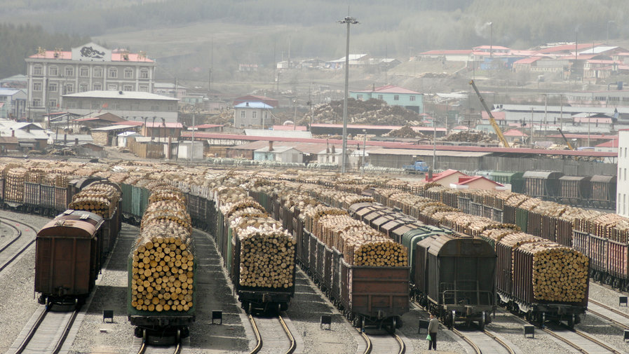 Petition · Stop illegal logging in Russia - United States · Change.org