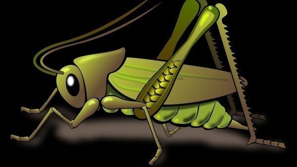 Petition · Stop Insect Suffering - United States · Change.org