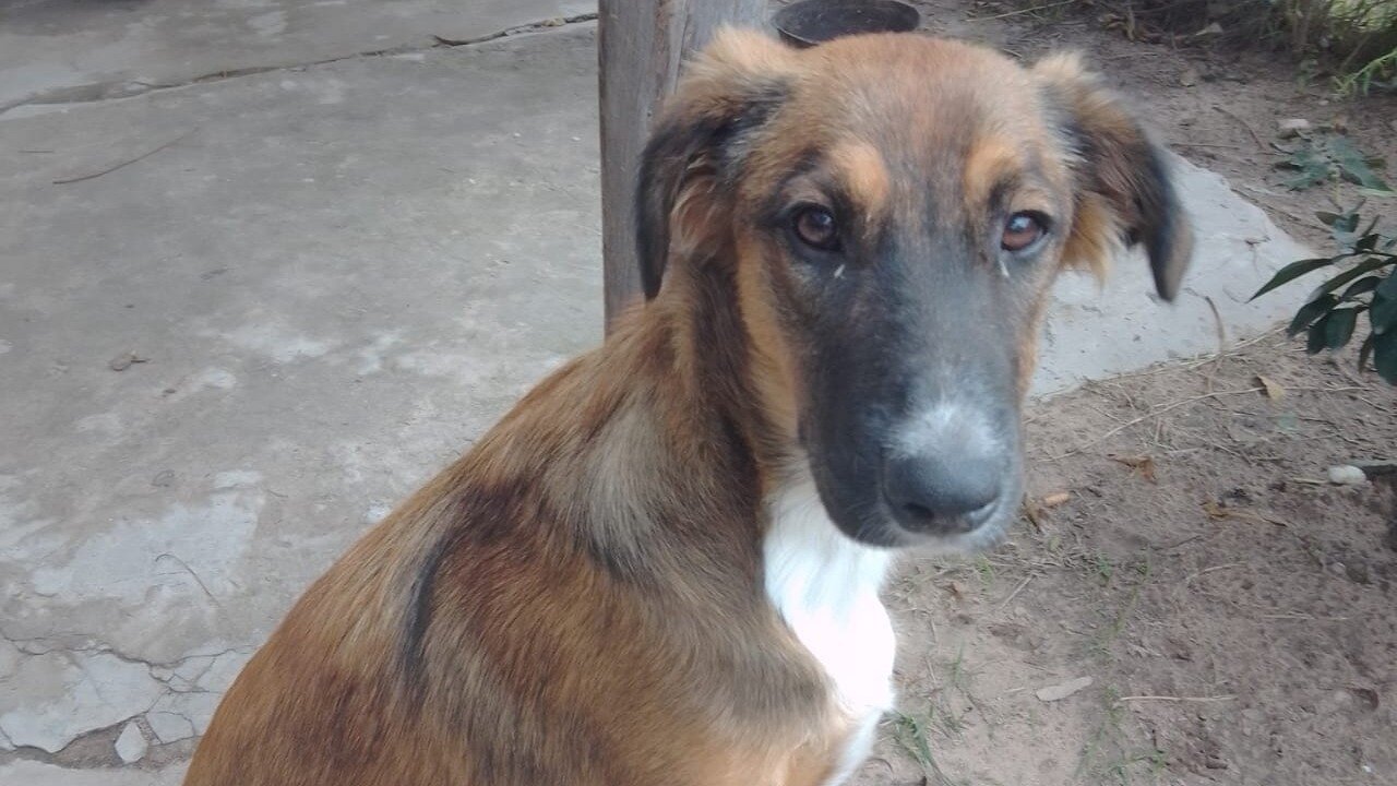 Petición · Justicia por Zulaika - Argentina · Change.org