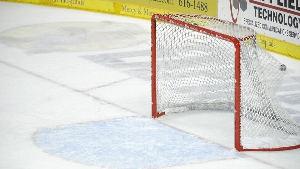 Petition · Revise NHL's Empty Net Goal Rule - Canada · Change.org