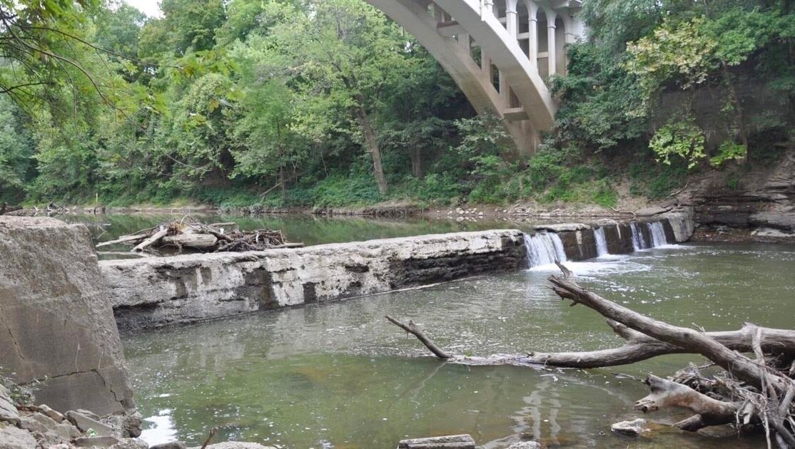 Petition · Require Removal of Silver Creek’s Low Head Dams for Public ...