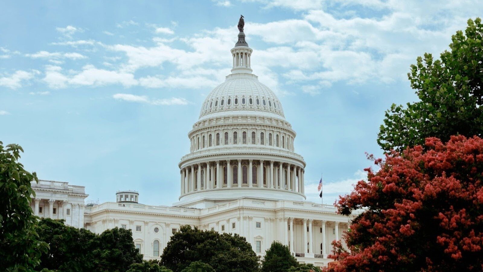 Petition · Demand Congress reject the SAVE Act - United States · Change.org
