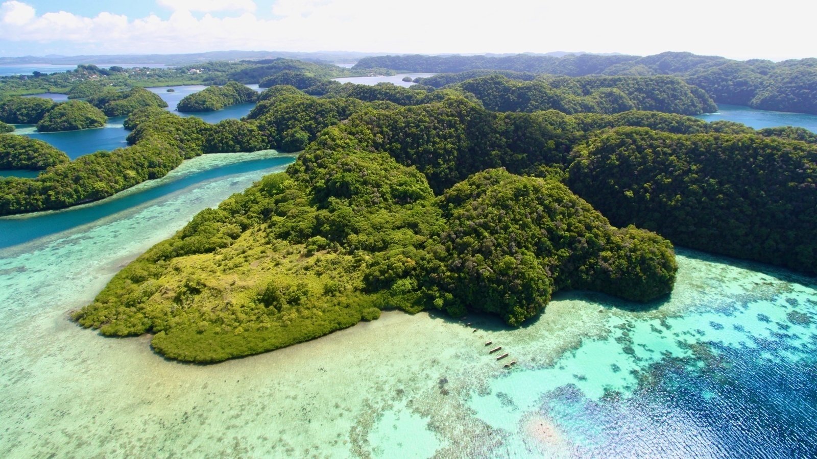 Petition update · Ong Beng Seng's alleged involvement island deal ...