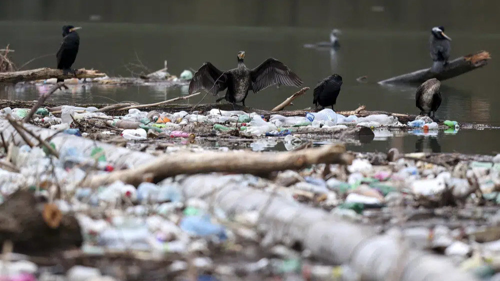 Petition update · EU candidate, but doing little to solve waste problem ...