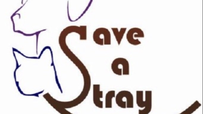 Petition · Save a stray - United States · Change.org