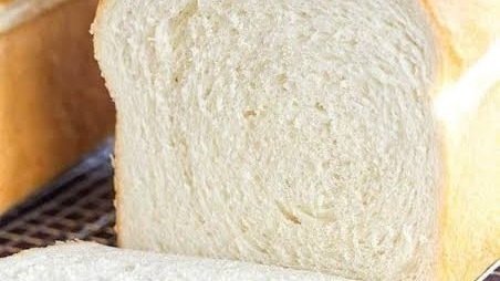 Petition · to name my new dog white bread - Australia · Change.org
