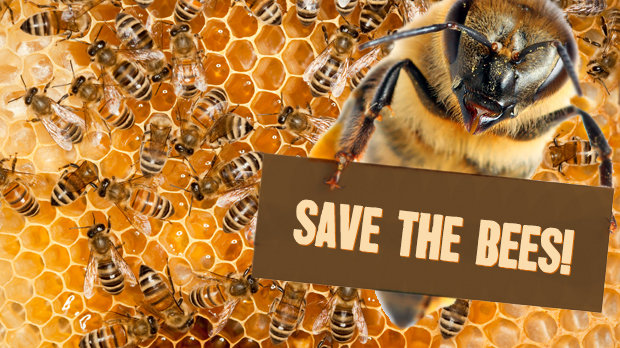 Petition · Save the bees: Protect funding for the Endangered Species ...