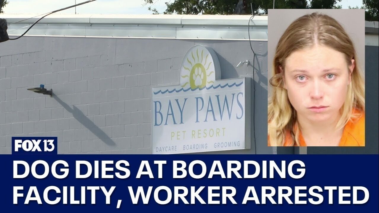 Petition · Bay Paws Pet Resort: Address Concerns About Pet Care ...