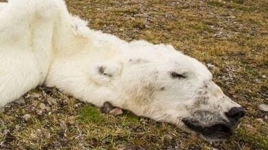 Petition · Mandate Climate Education in High Schools - United States ...