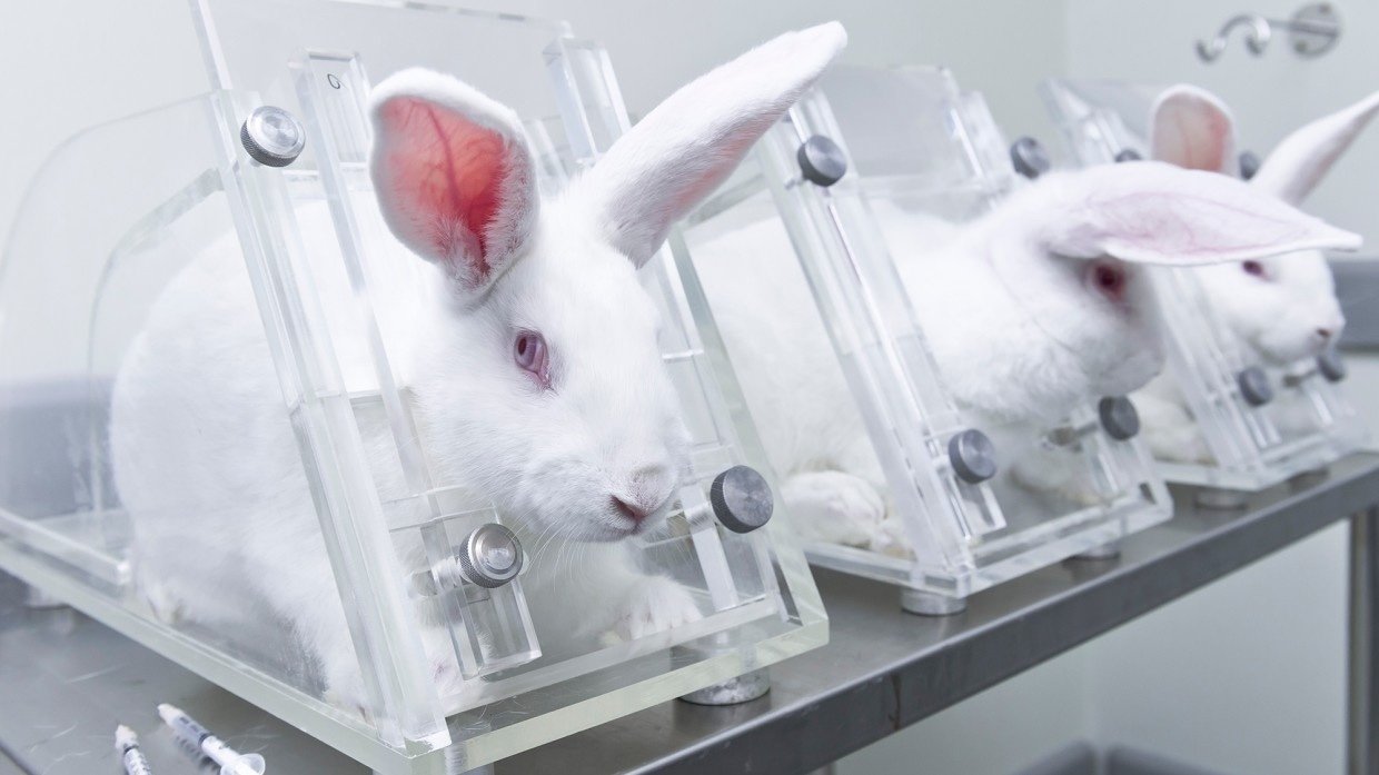 Petition · Stop animal testing - United States · Change.org