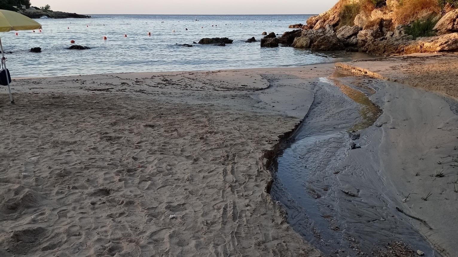 Petizione · SALVIAMO LA BAIA DI GANDOLI DALLO SVERSAMENTO DI LIQUAMI ...