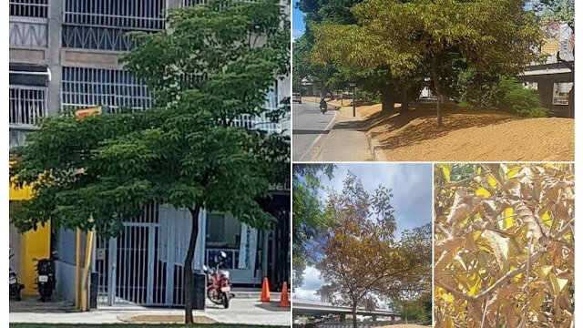 Petition update · INFORME: DAÑO AMBIENTAL · Change.org · Change.org