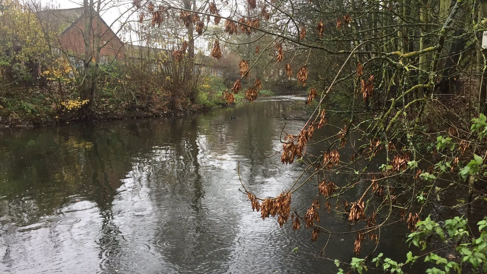 Petition · Stop the redevelopment of Tumbling Bay - Amwell - United ...