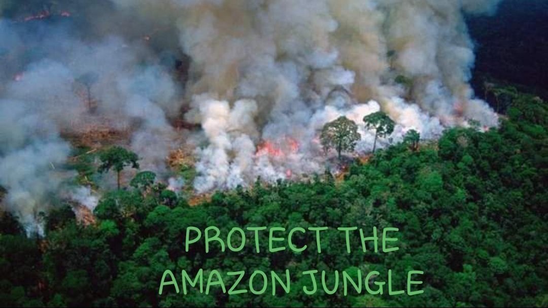 Petition · PROTECT THE AMAZON JUNGLE / PROTEGE LA SELVA AMAZÓNICA ...