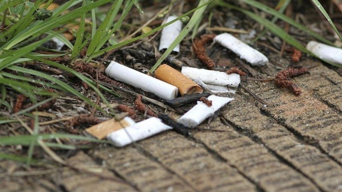 Petition · Biodegradable Cig Buds - United States · Change.org