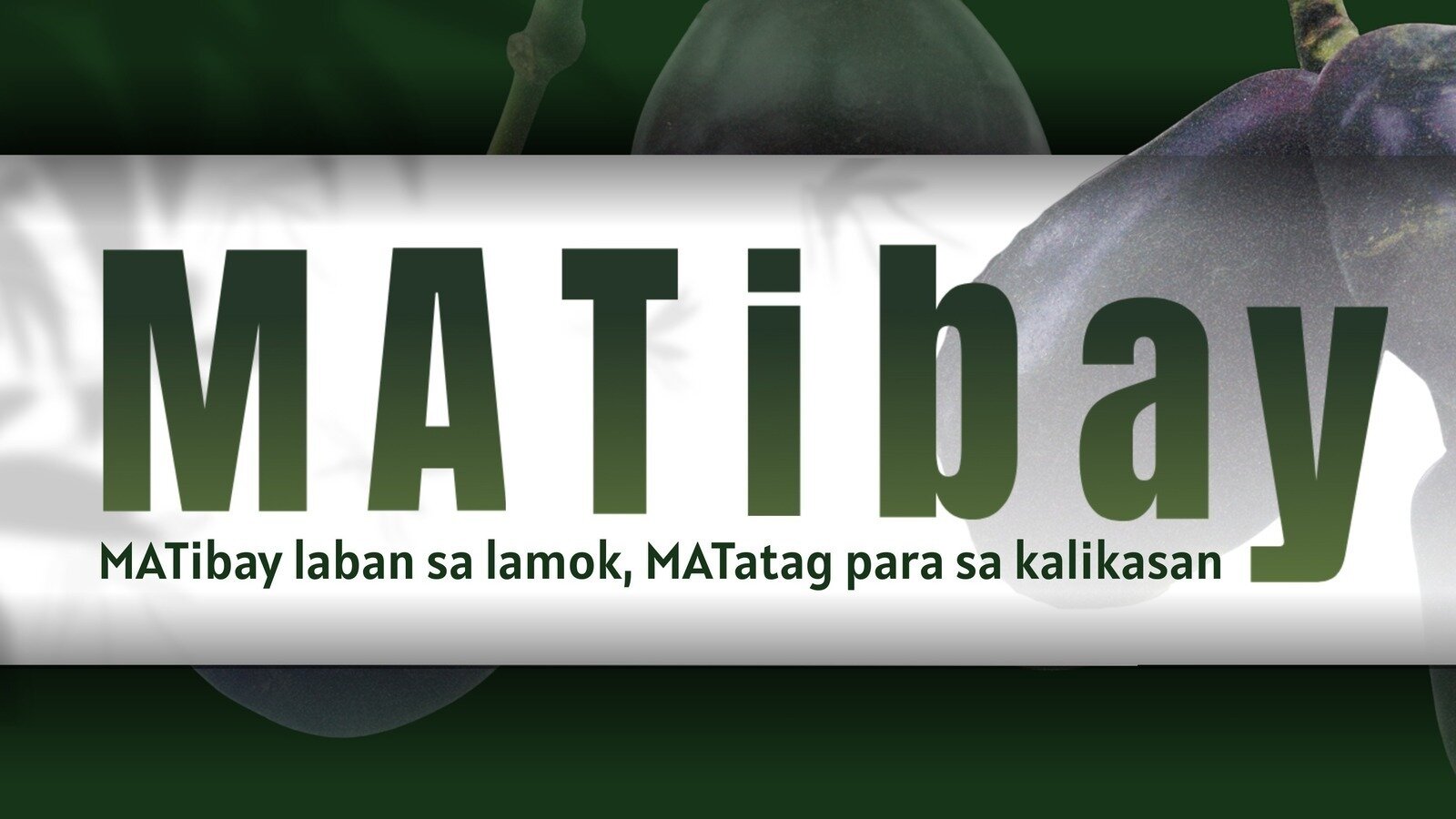 Petition · Support Project MATibay: MATibay laban sa lamok, MATatag ...