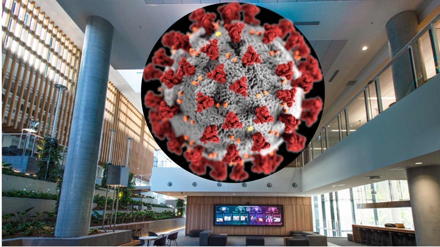 Petition · Petition to display COVID-19 Cell on The Great QUT KG Sphere ...