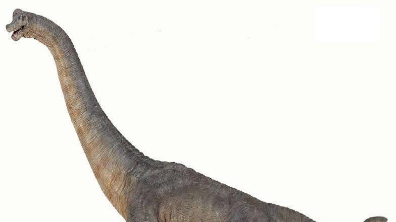 Petition · Rename the brachiosaurus to giraffasaurus - United States ...