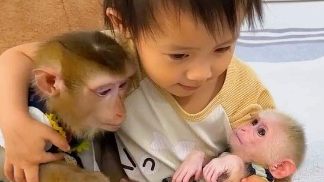 Petition update · Update of Kaka and Mit petition · Change.org · Change.org